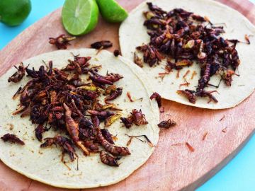 Conoce y prueba los insectos comestibles de México - La Raza