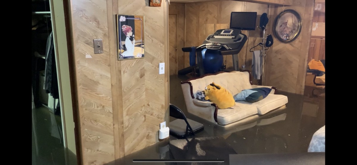 La Cruz Roja y su participación en los desastres naturales en la última ...